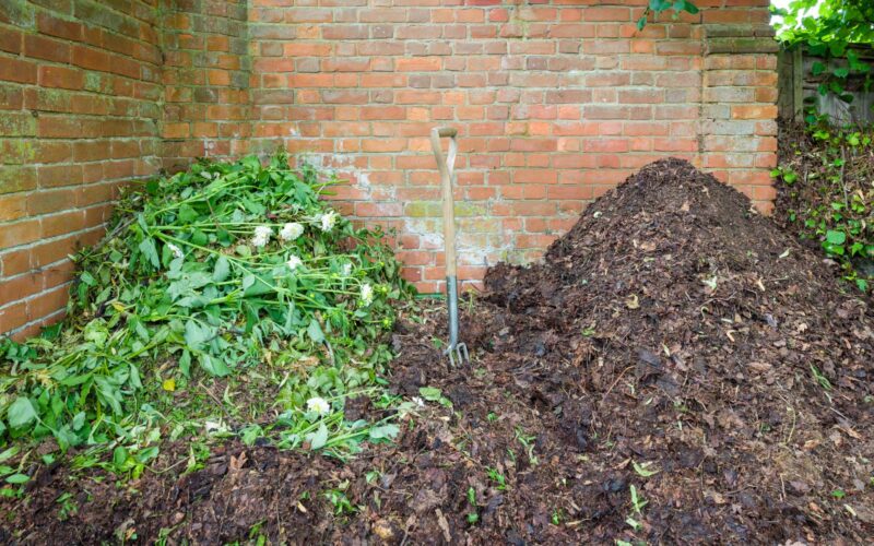 Is Leaf Compost Good for Vegetable Gardens? – Mother Earth News